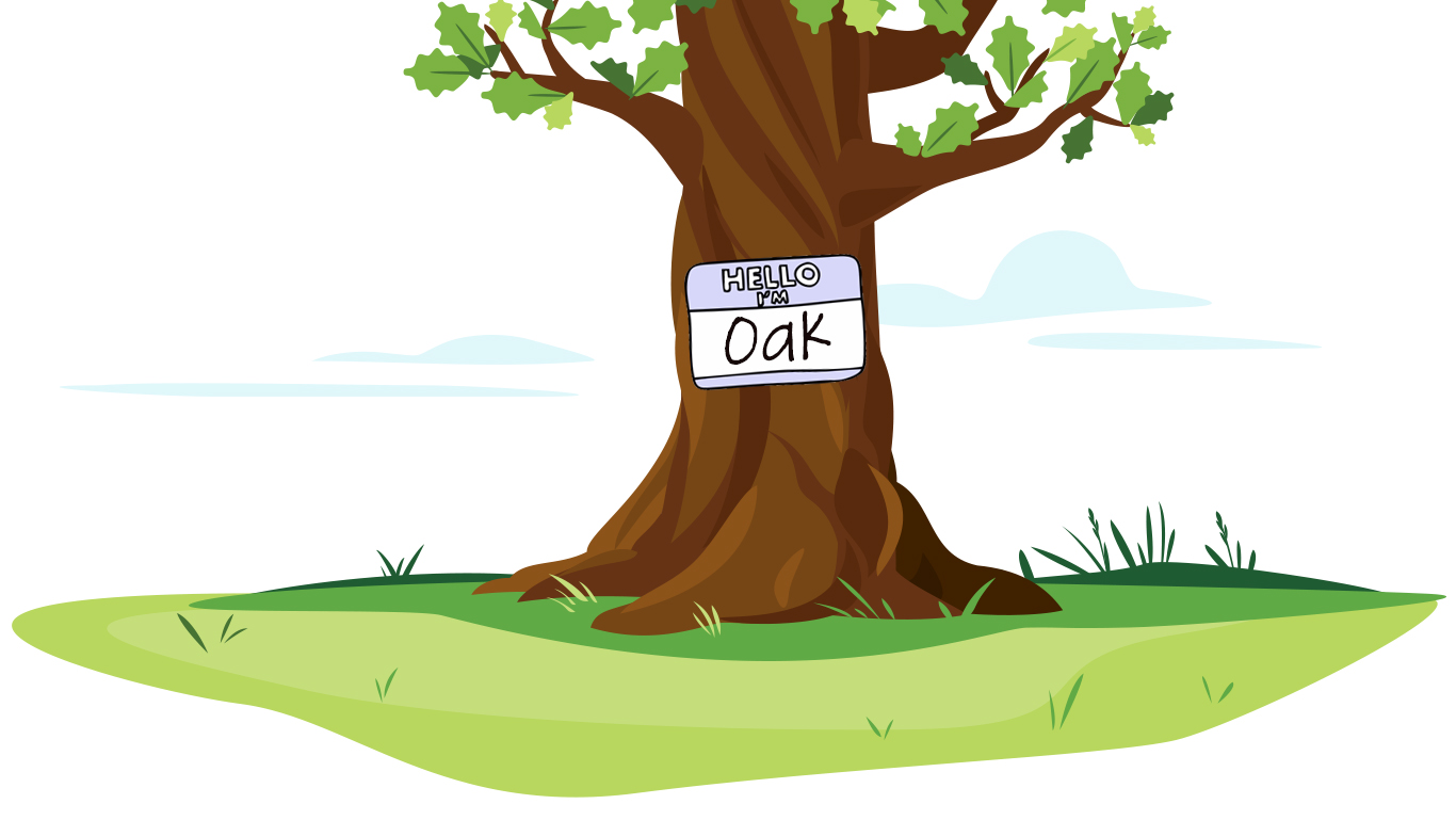 Tree Illustration – KIWANIS MAGAZINE